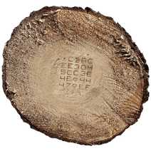 Technology | Deeplai | TimberID