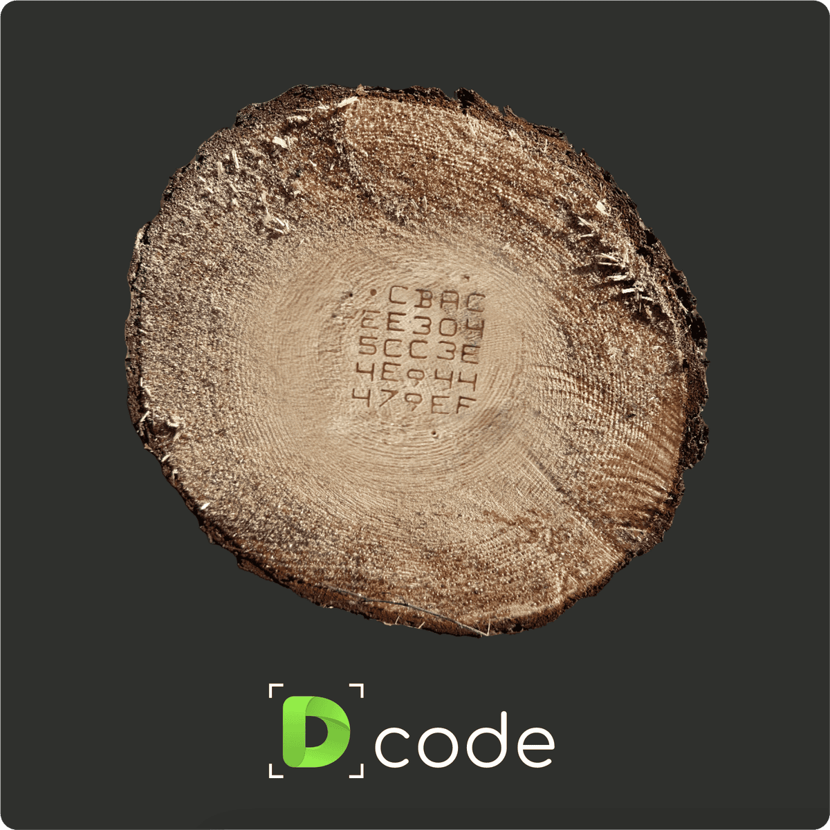 Traceability | Deeplai | TimberID