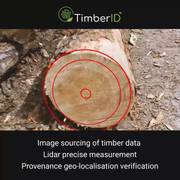 TimberID - complete timber identification system | News | Deeplai ...