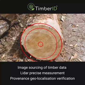 TimberID - complete timber identification system | News | Deeplai ...