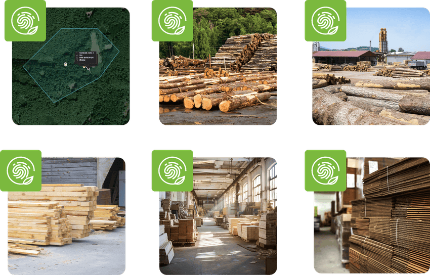 Traceability | Deeplai | TimberID
