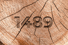 The Evolution of Timber Log Marking | News | Deeplai | TimberID